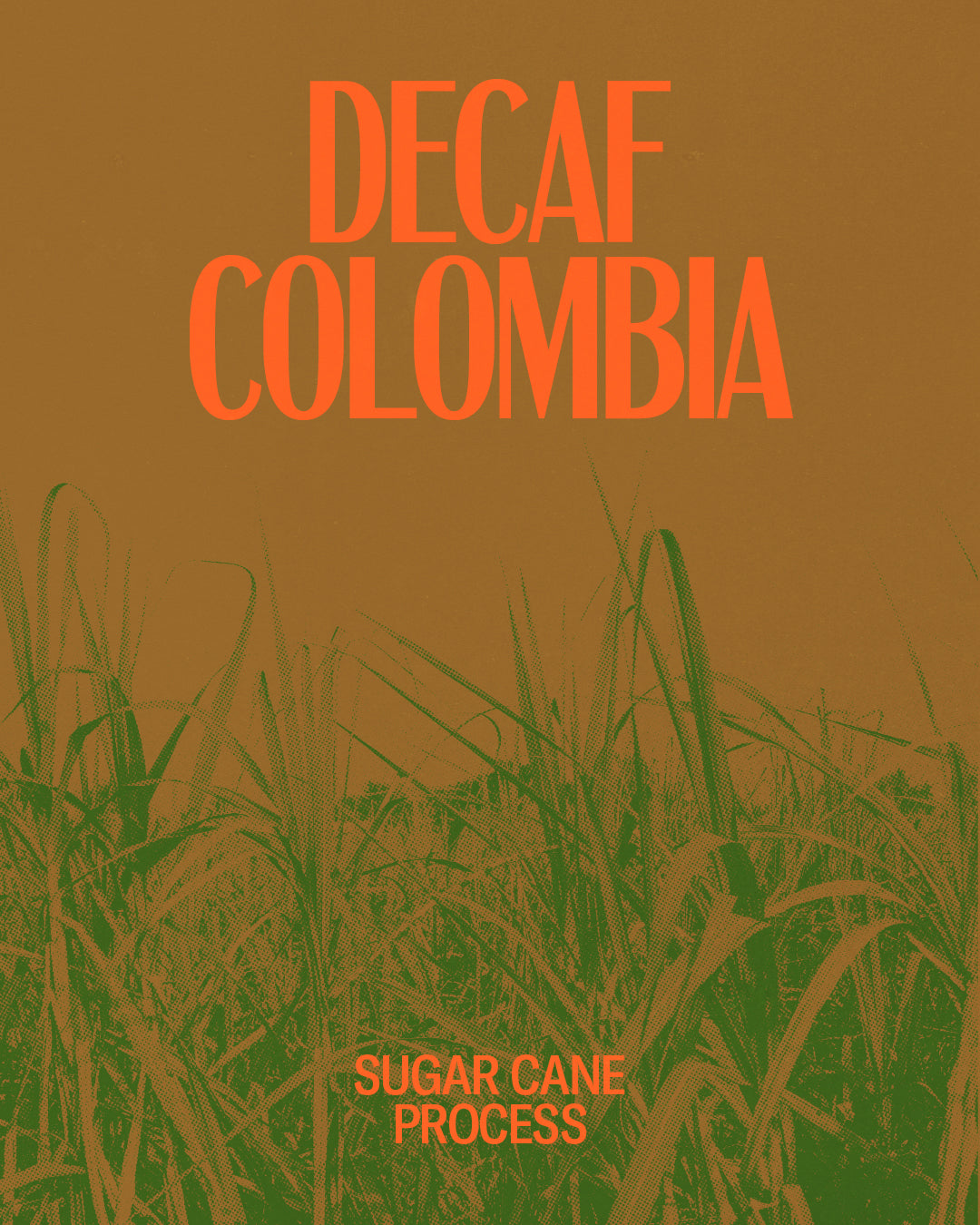 Sugar Cane Decaf – Red Bank Coffee Roasters